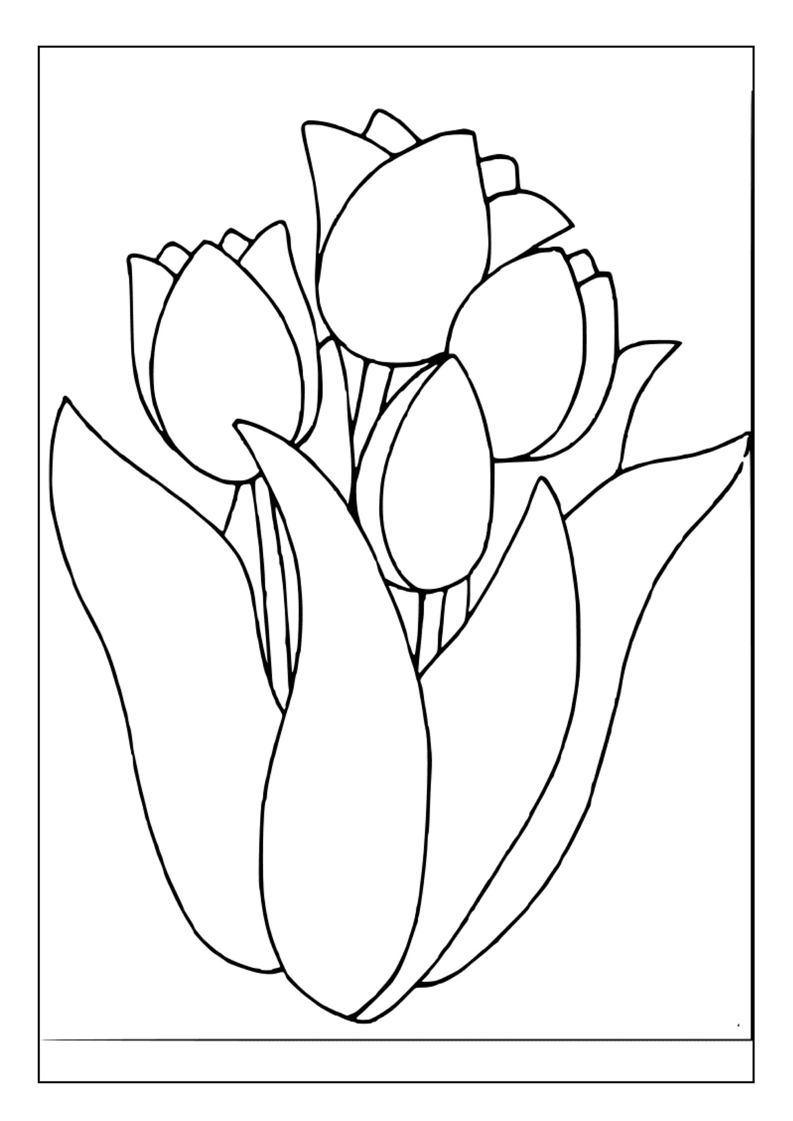 Printable Tulip Coloring Pages for Kids & Adults | 40 Pages | Digital ...