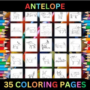 Printable Antelope Coloring Pages for Kids & Adults |35 Pages | Digital ...