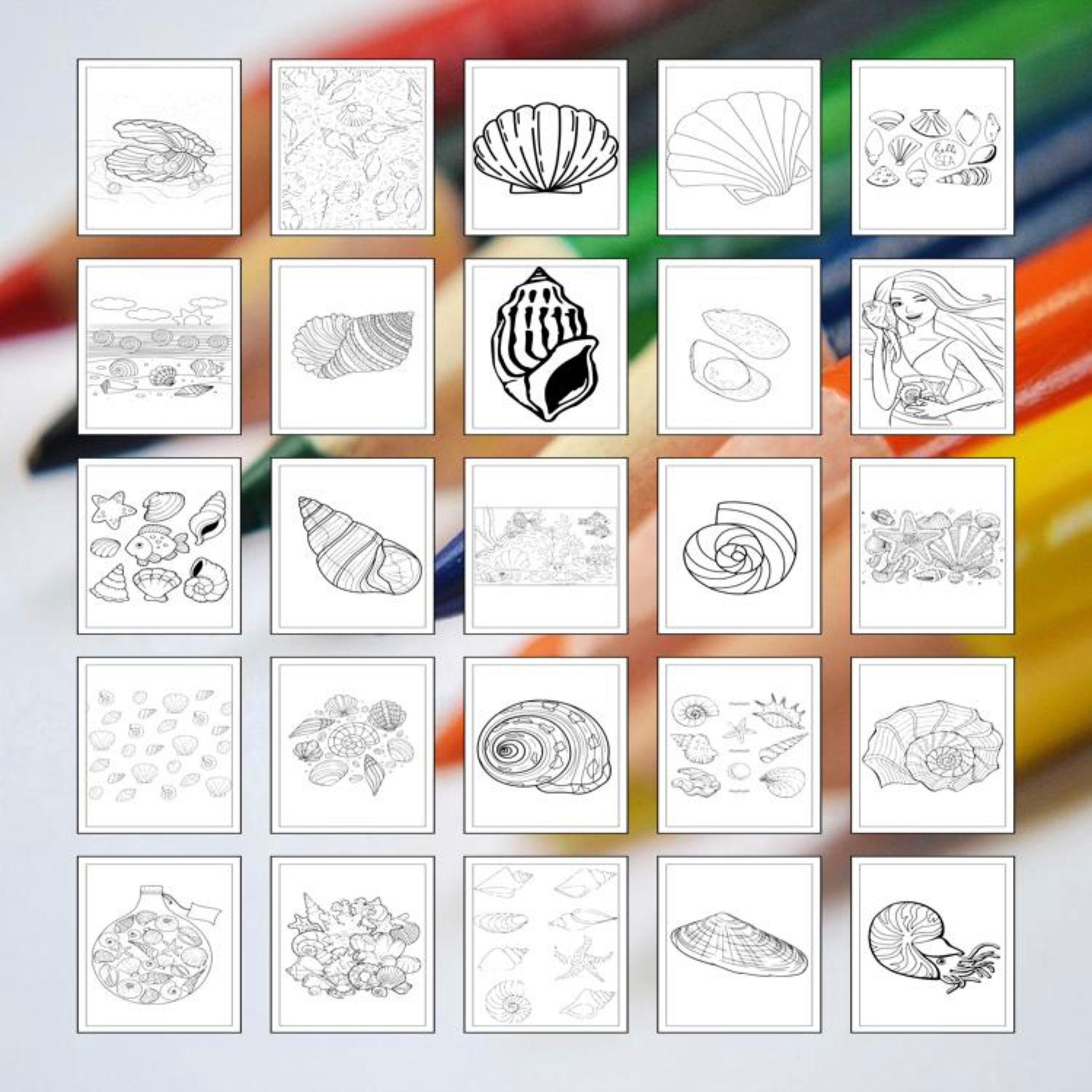 Printable Seashell Coloring Pages for Kids and Adults | 100 Pages ...