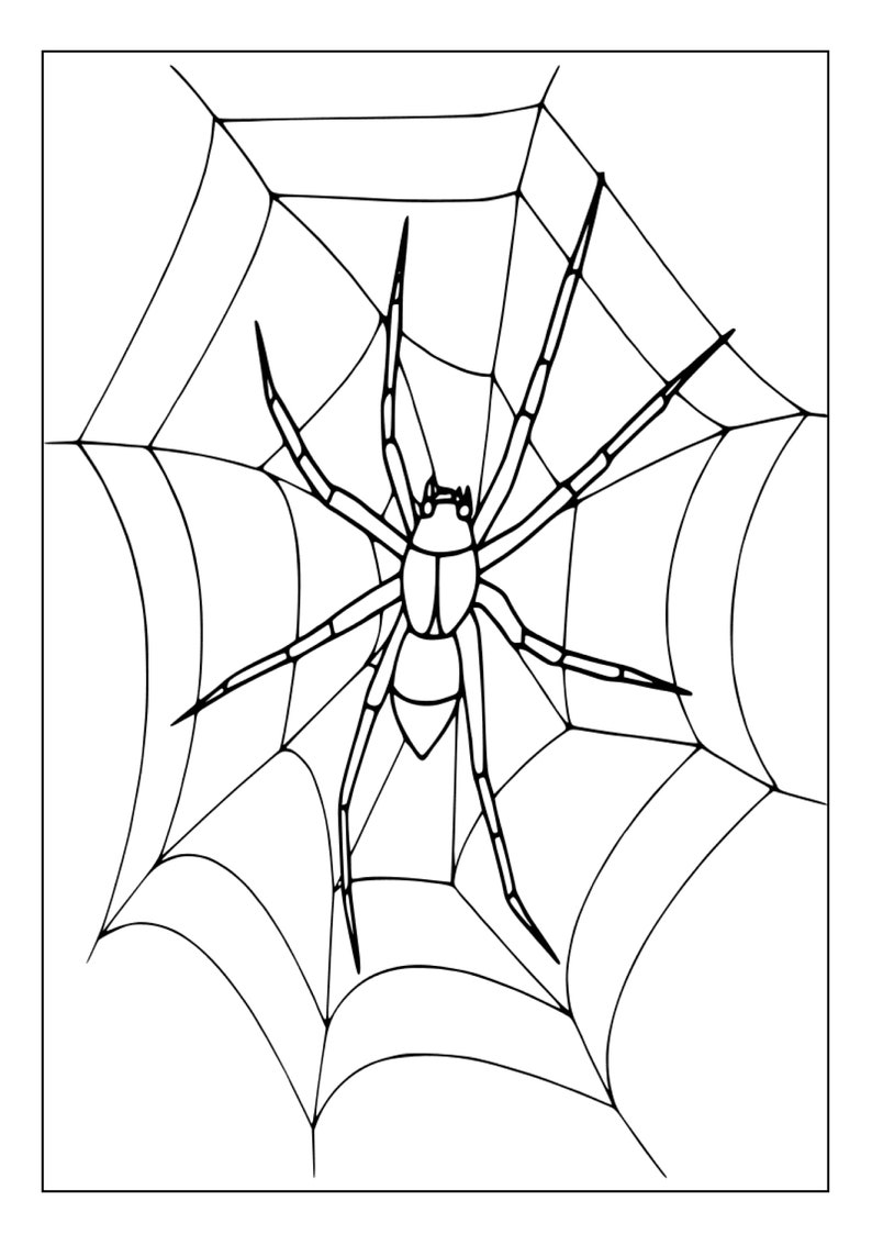 Printable Halloween Spider Web Coloring Pages for Kids & Adults | 90 ...