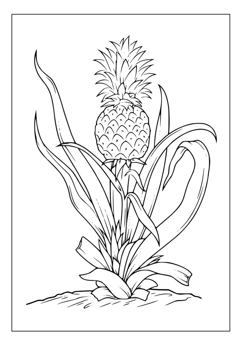 Printable Pineapple Coloring Pages for Kids and Adults 95 - Etsy