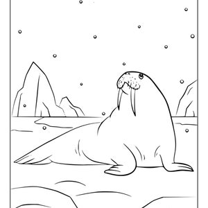 Printable Arctic Animals Coloring Pages for Kids and Adults |100 Pages ...