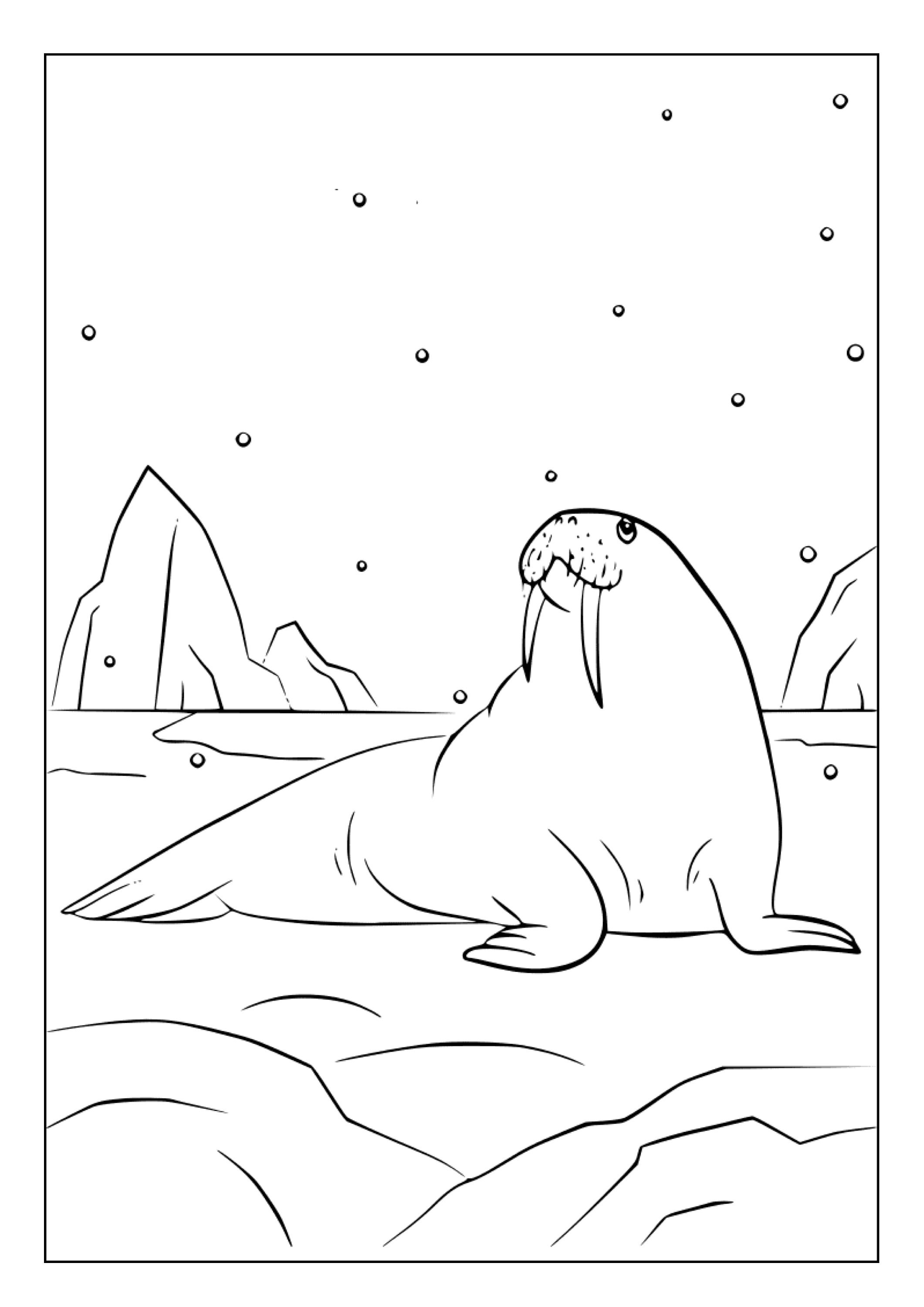 Printable Arctic Animals Coloring Pages for Kids and Adults 100 Pages ...