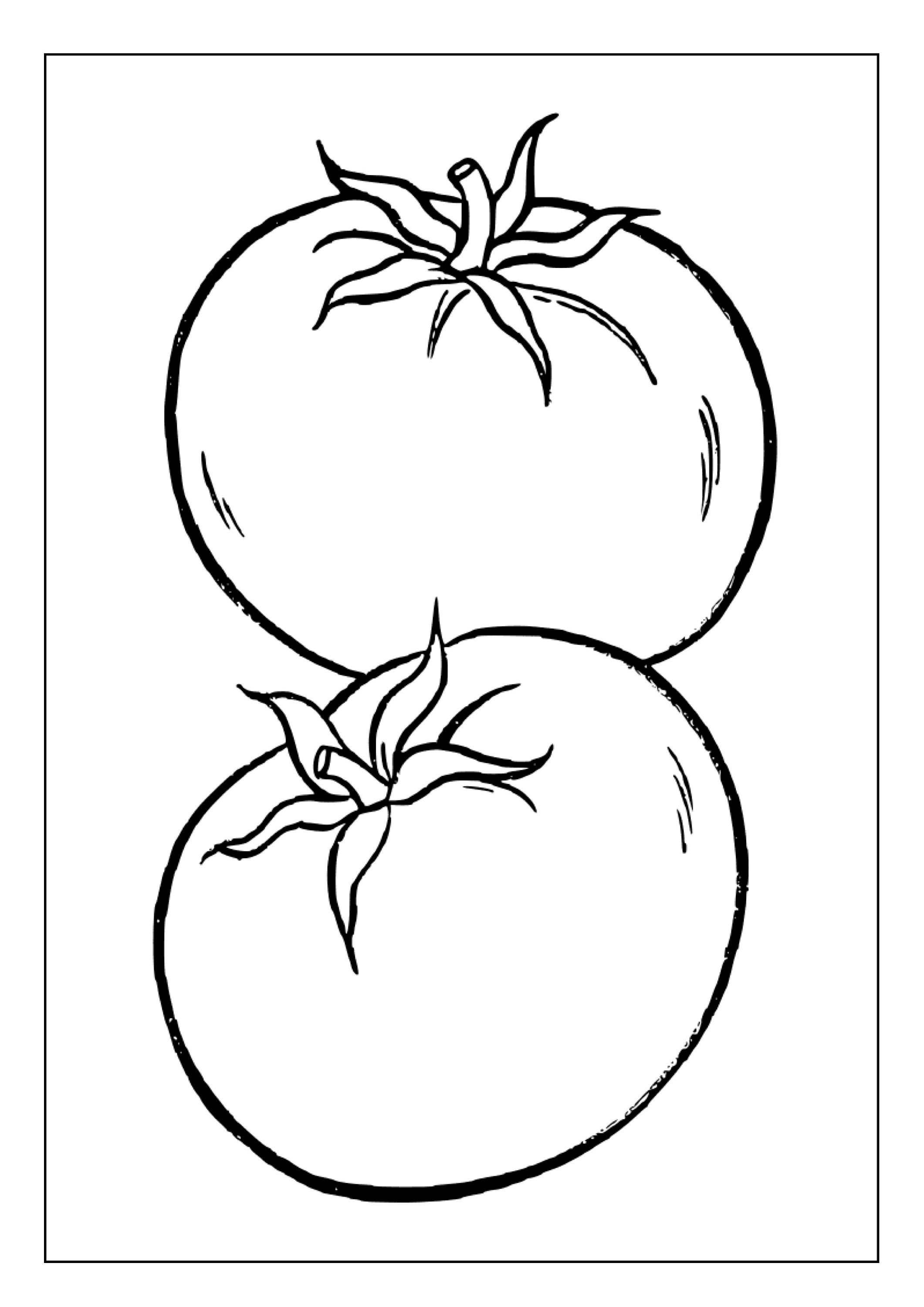Printable Tomato Coloring Pages for Kids & Adults | 35 Pages | Instant ...