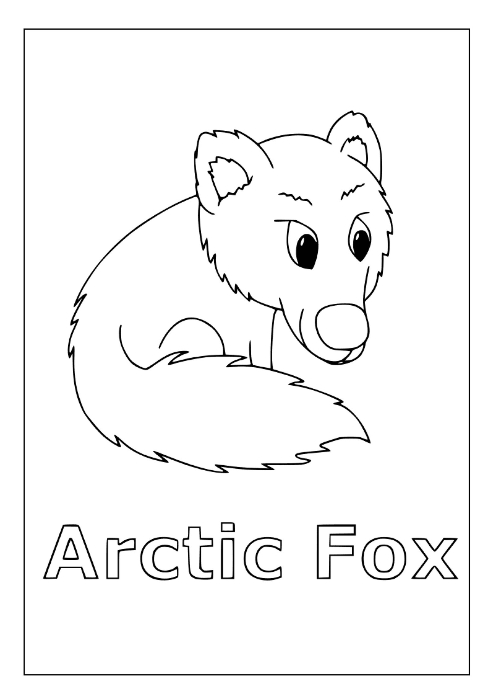 Printable Arctic Animals Coloring Pages for Kids and Adults |100 Pages ...