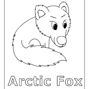 Printable Arctic Animals Coloring Pages for Kids and Adults |100 Pages ...