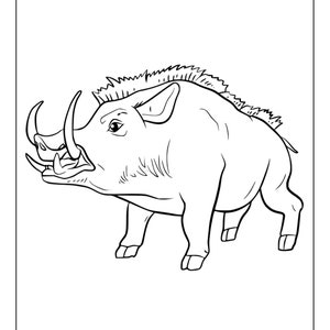 Printable Boar Coloring Pages for Kids & Adults |30 Pages | Instant ...