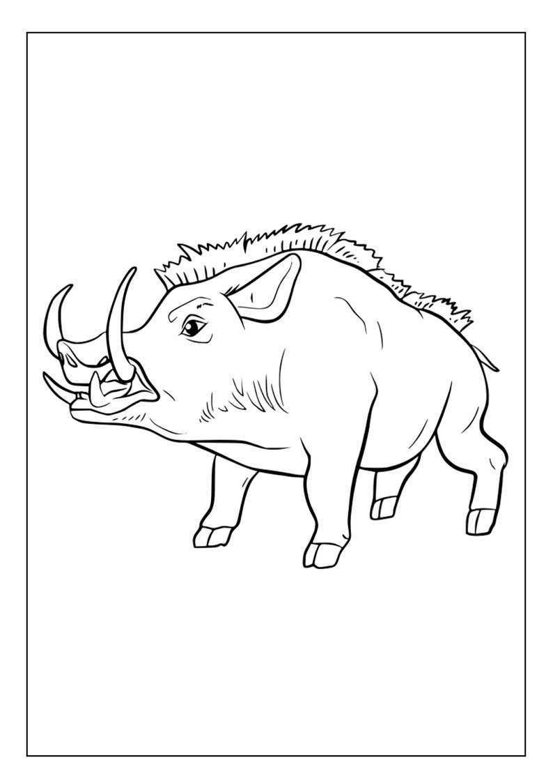Printable Boar Coloring Pages for Kids & Adults |30 Pages | Instant ...