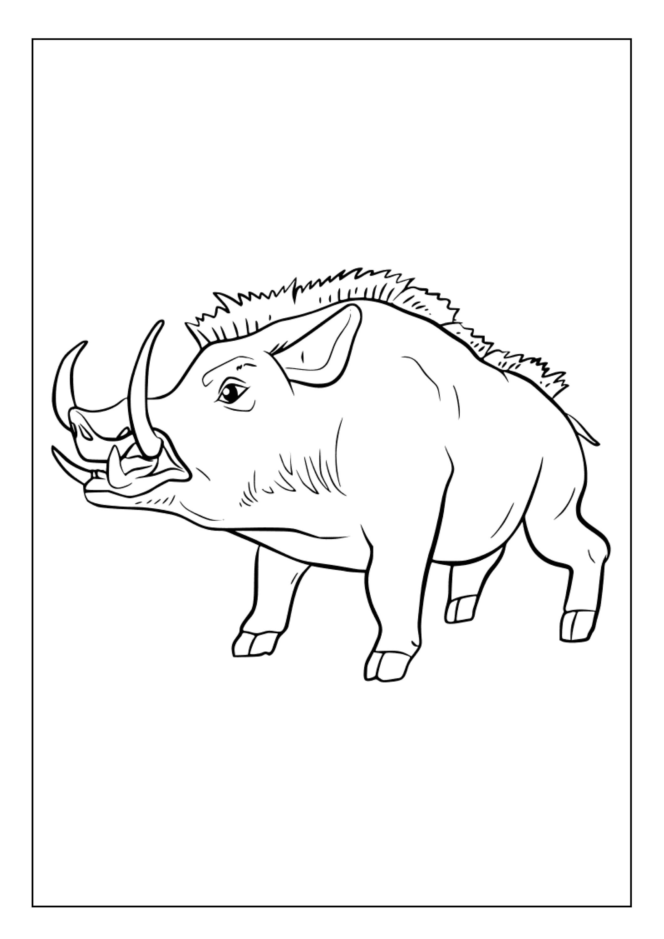 Printable Boar Coloring Pages for Kids & Adults |30 Pages | Instant ...