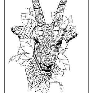 Printable Hard Animal Pattern Coloring Pages for Kids & Adults | 70 ...