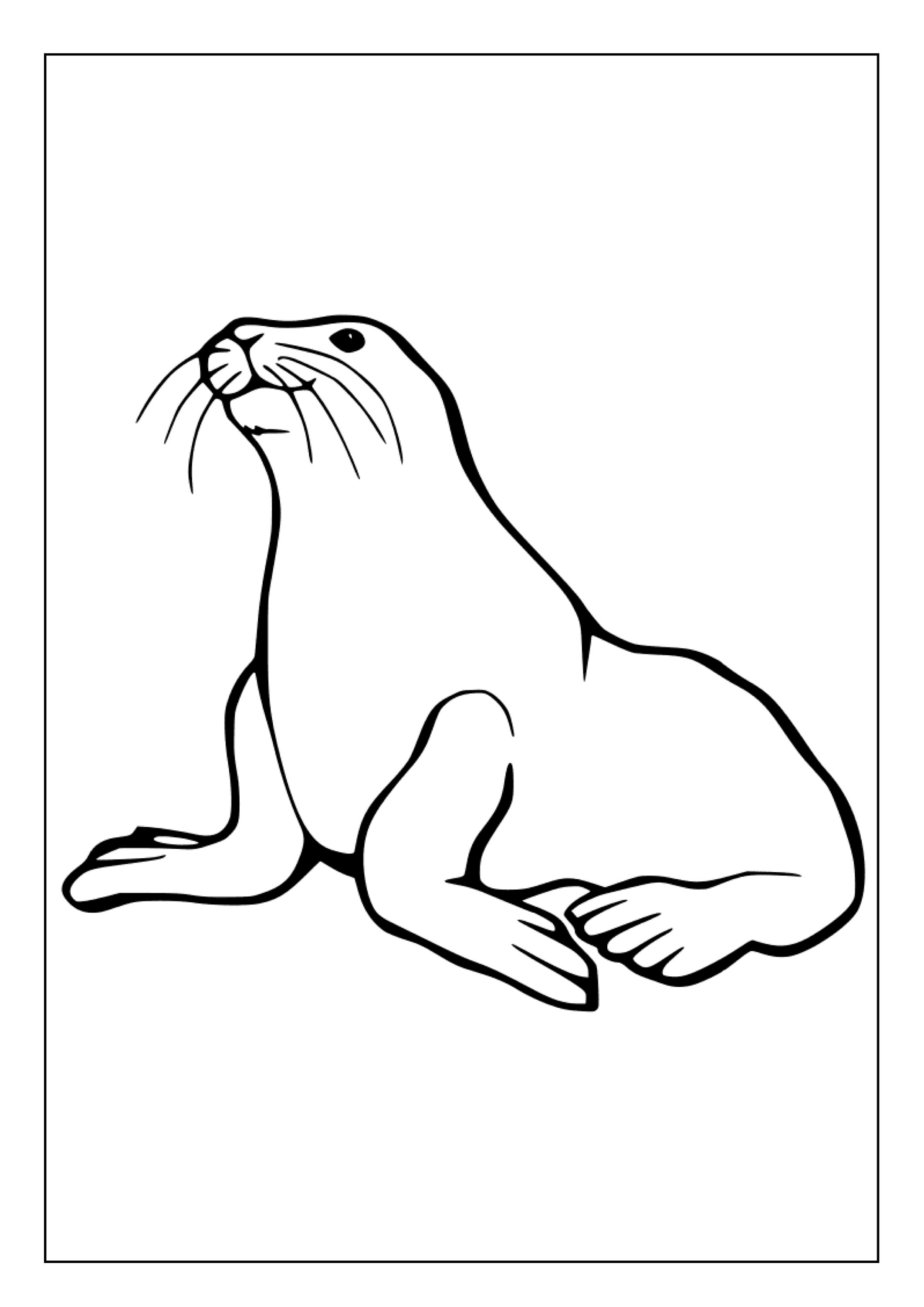 Printable Sea Lion Coloring Pages for Kids & Adults |25 Pages | Digital ...