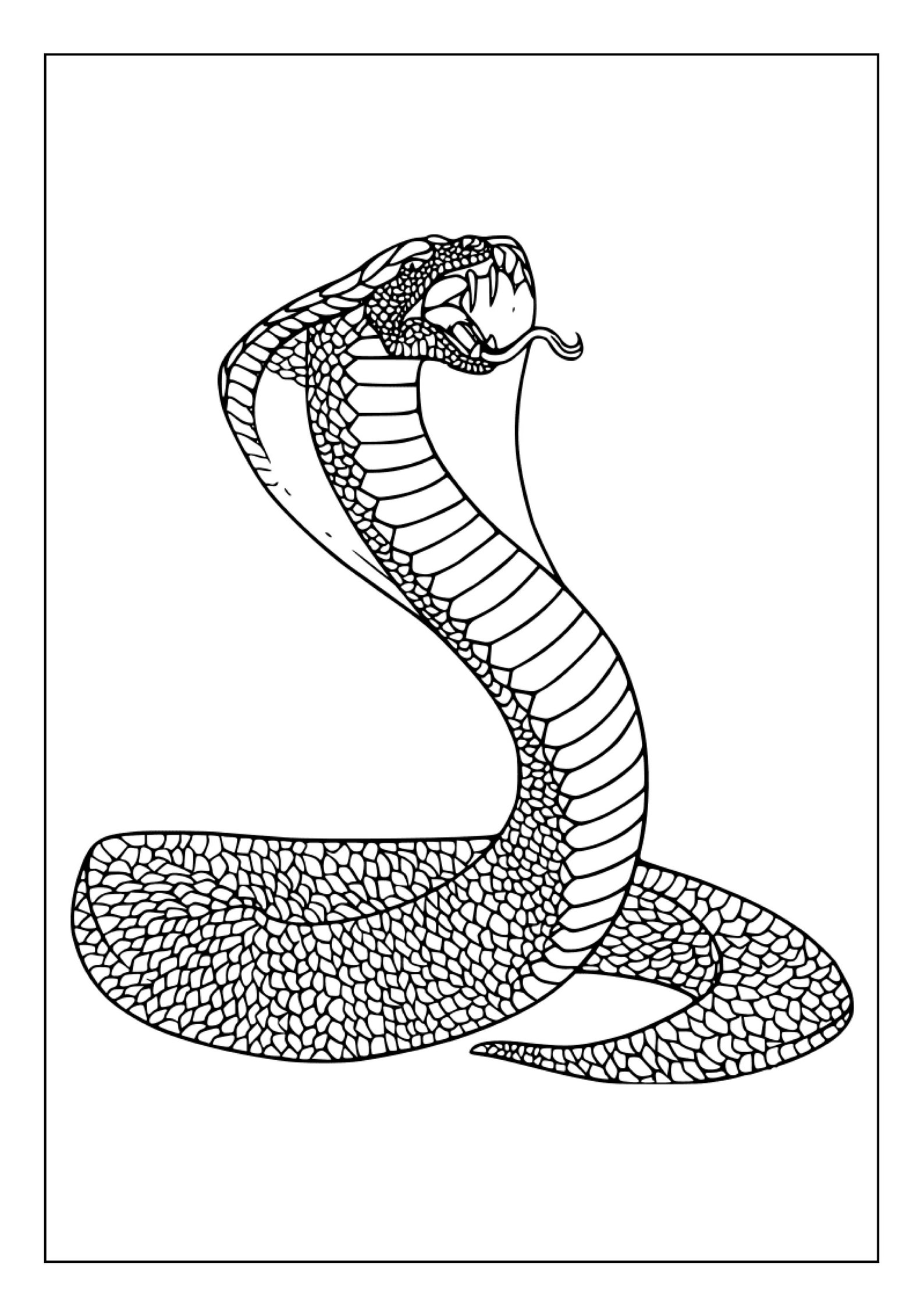 Printable Cobra Coloring Pages for Kids & Adults | 35 Pages | Instant ...