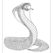 Printable Cobra Coloring Pages for Kids & Adults | 35 Pages | Instant ...