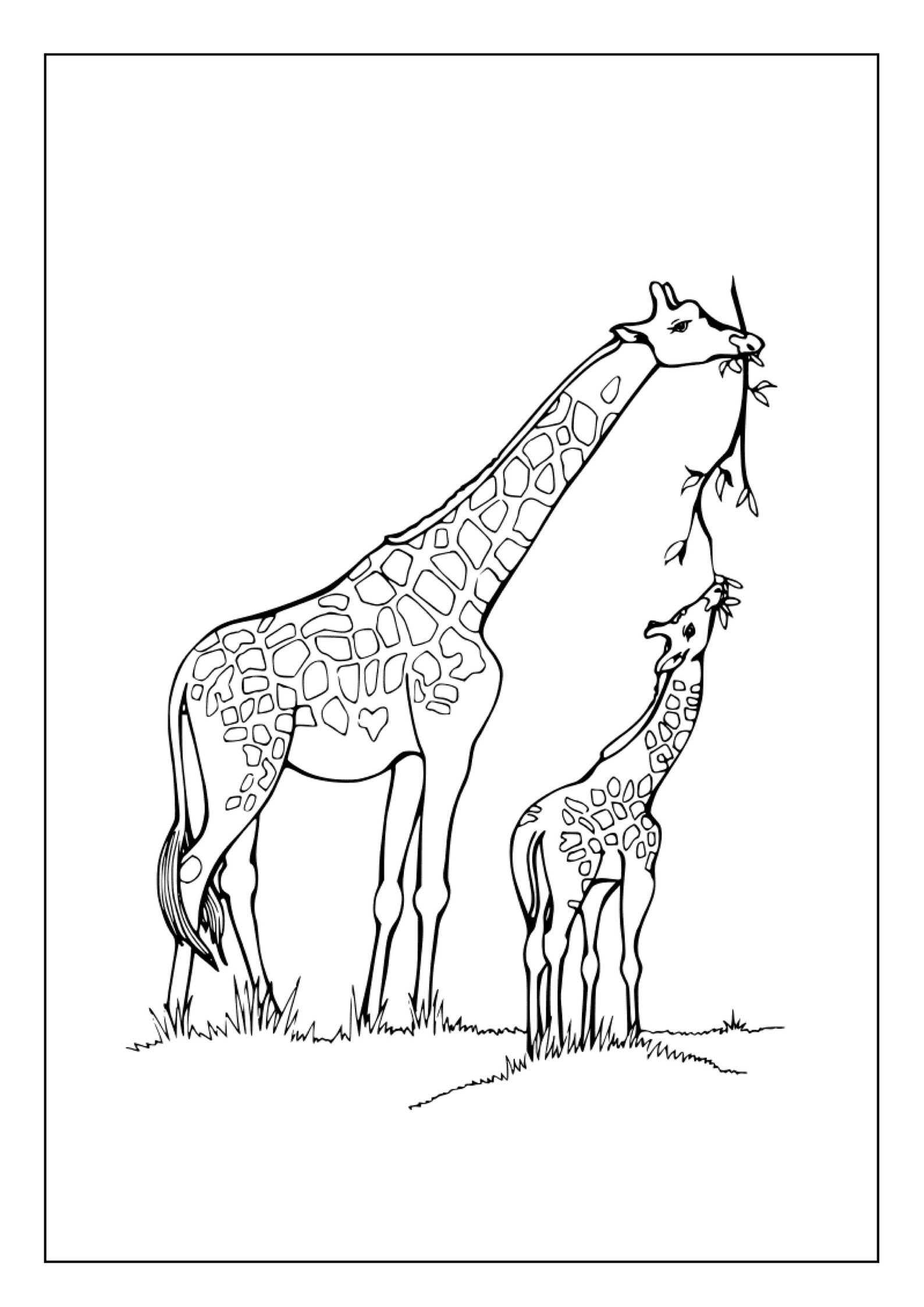Printable Giraffes Coloring Pages for Kids and Adults | 90 Pages ...