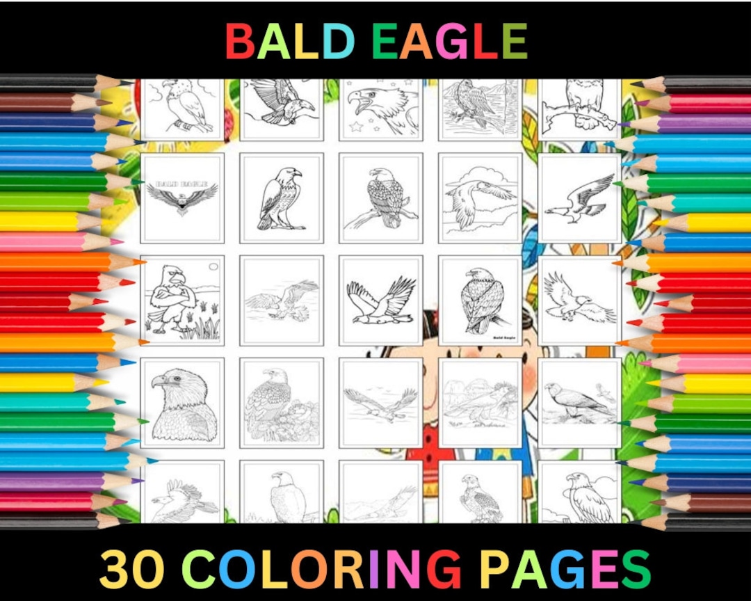 Printable Bald Eagle Coloring Pages for Kids & Adults | 30 Pages ...