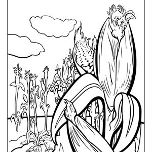 Printable Corn Coloring Pages for Kids & Adults | 25 Pages | Instant ...