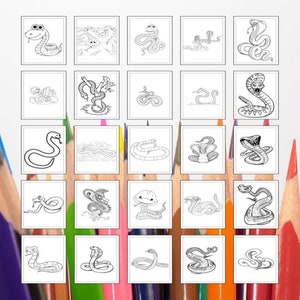 Printable Snake Coloring Pages for Kids and Adults | 100 Pages ...