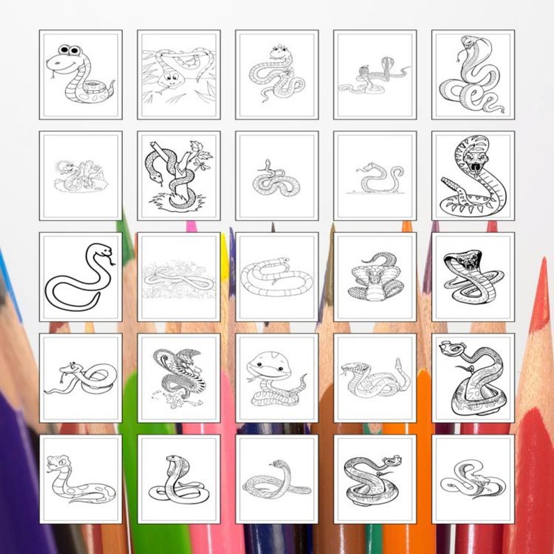 Printable Snake Coloring Pages for Kids and Adults | 100 Pages ...