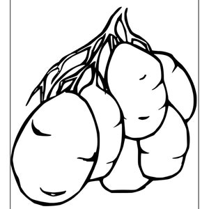 Printable Potato Coloring Pages for Kids & Adults | 30 Pages | Digital ...