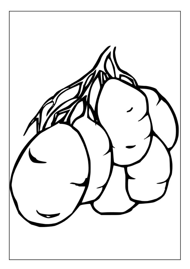 Printable Potato Coloring Pages for Kids & Adults | 30 Pages | Digital ...