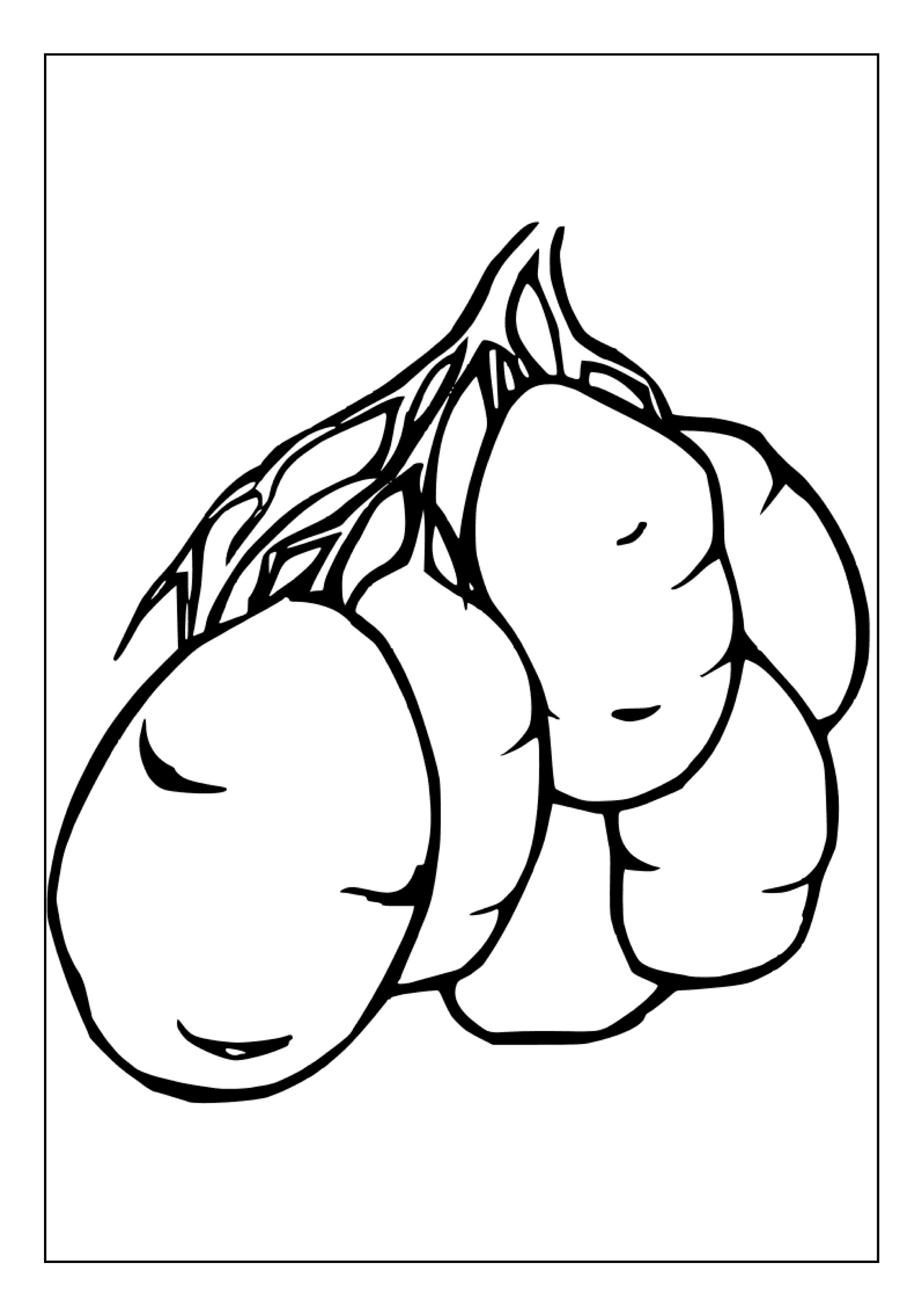 Printable Potato Coloring Pages for Kids & Adults 30 Pages Digital ...