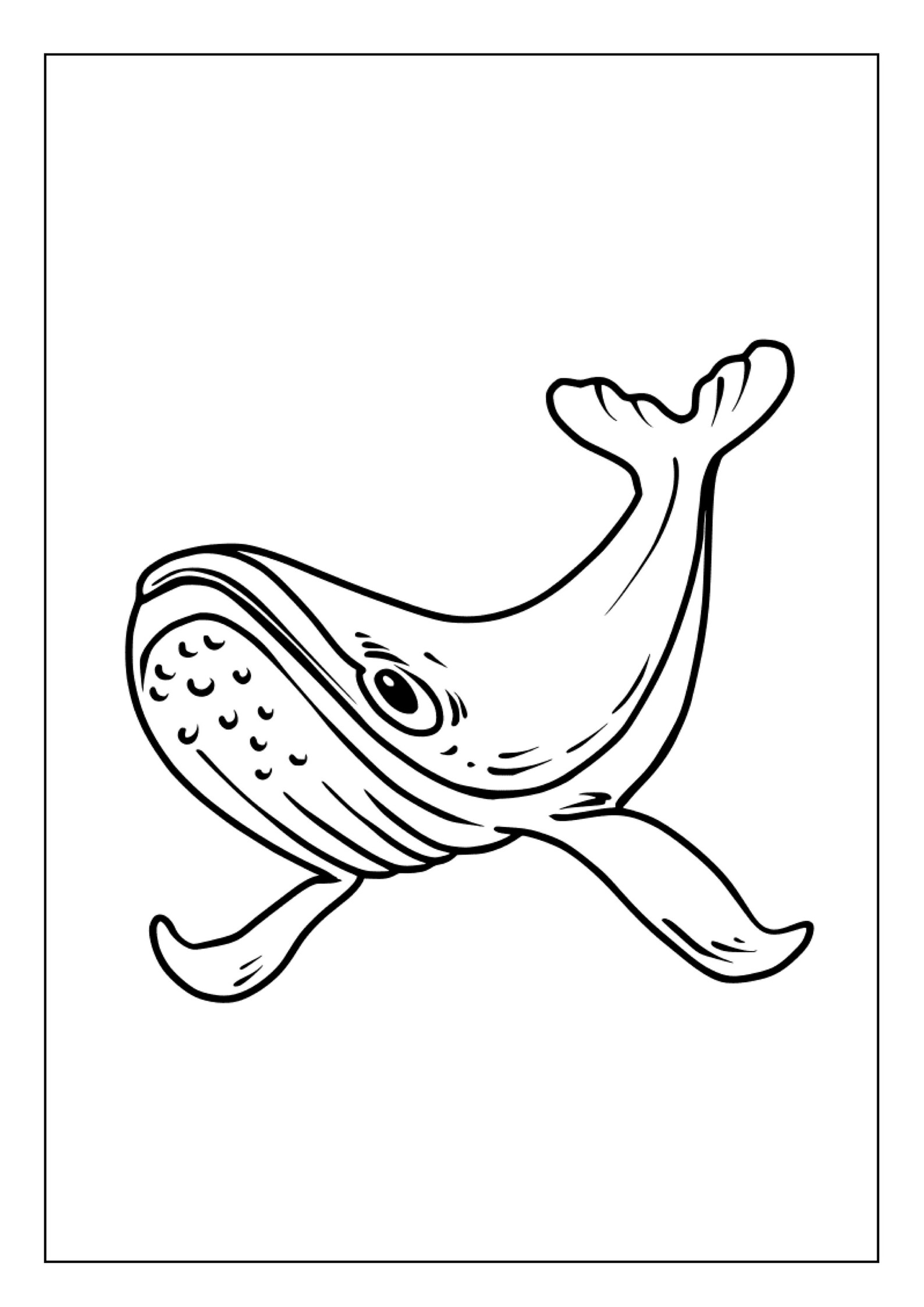 Printable Mammals Coloring Pages for Kids & Adults | 40 Pages | Instant ...