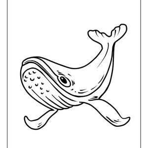 Printable Mammals Coloring Pages for Kids & Adults | 40 Pages | Instant ...
