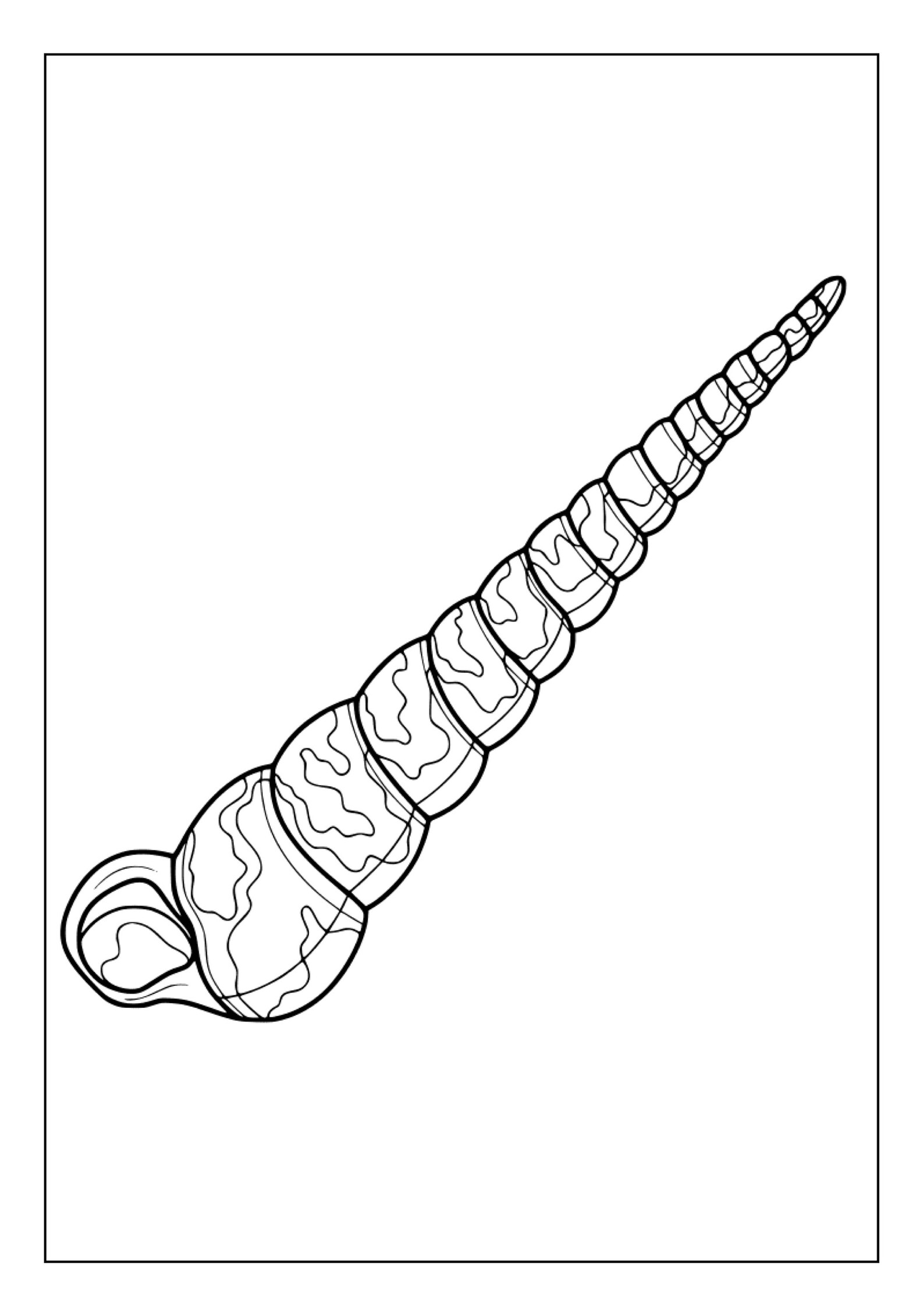 Printable Shell Coloring Pages for Kids & Adults 85 Pages - Etsy