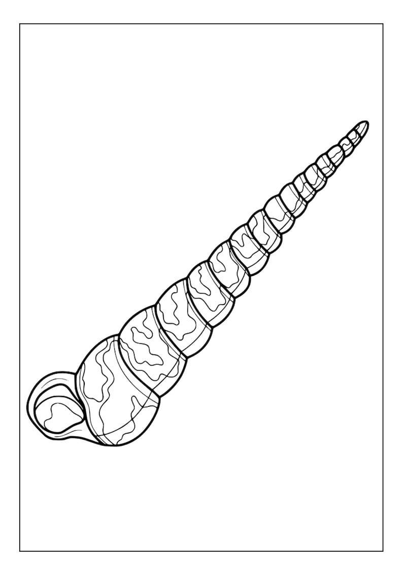 Printable Shell Coloring Pages for Kids & Adults | 85 Pages | Digital ...
