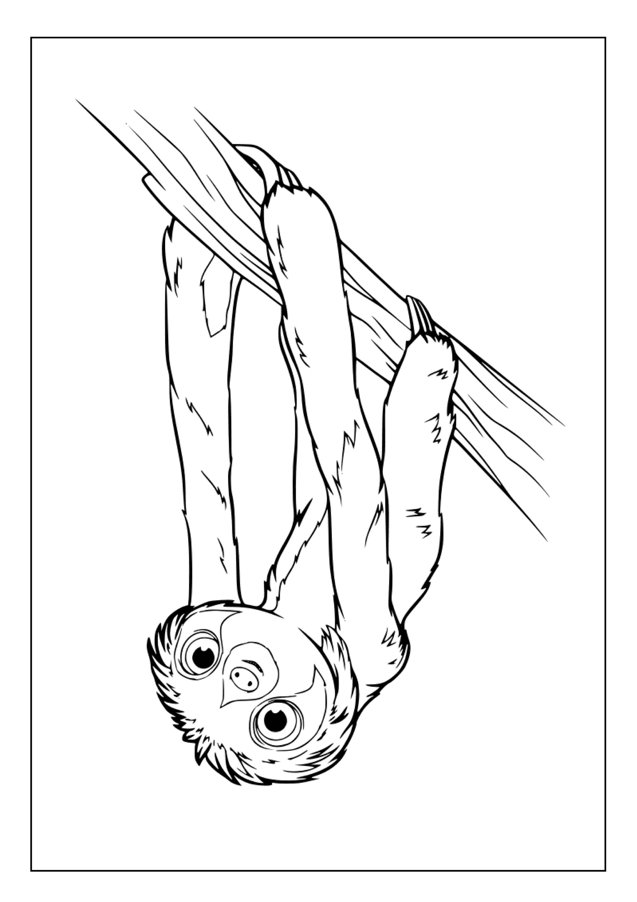 Printable Sloth Coloring Pages for Kids and Adults | 90 Pages | Instant ...