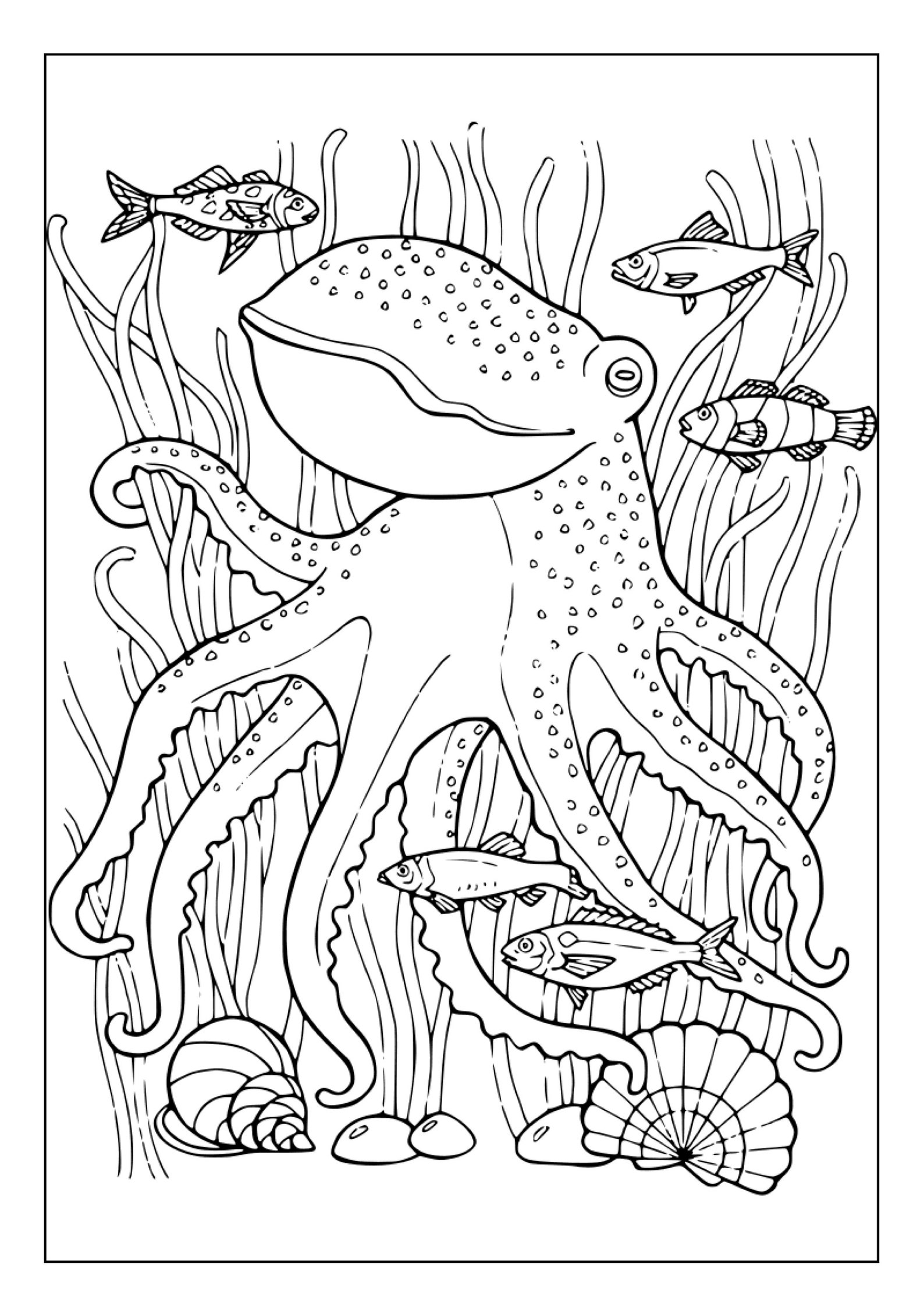Printable Fish Coloring Pages for Kids and Adults | 75 Pages | Instant ...