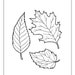 Printable Fall Leaf Coloring Pages for Kids and Adults | 60 Pages ...