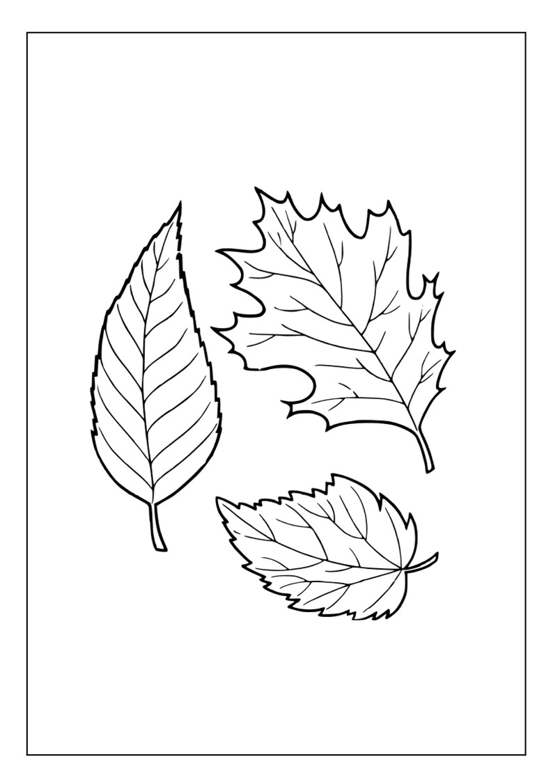 Printable Fall Leaf Coloring Pages for Kids and Adults | 60 Pages ...