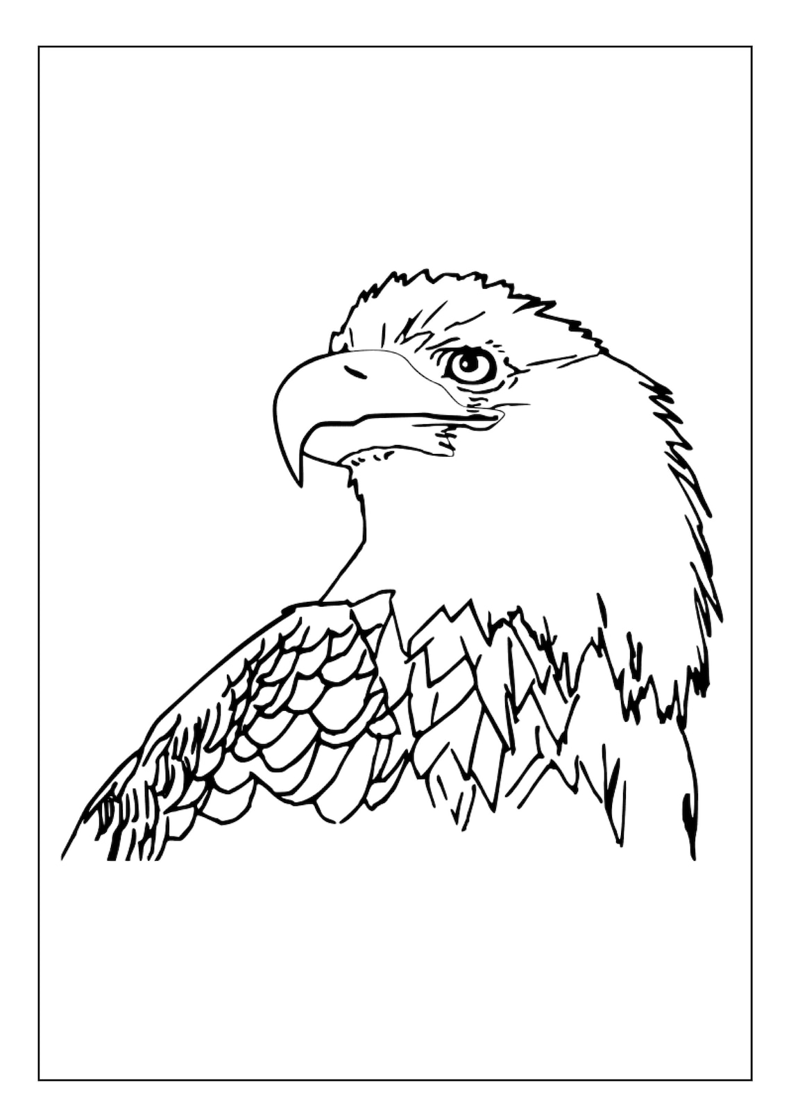 Printable Bald Eagle Coloring Pages for Kids & Adults | 30 Pages ...