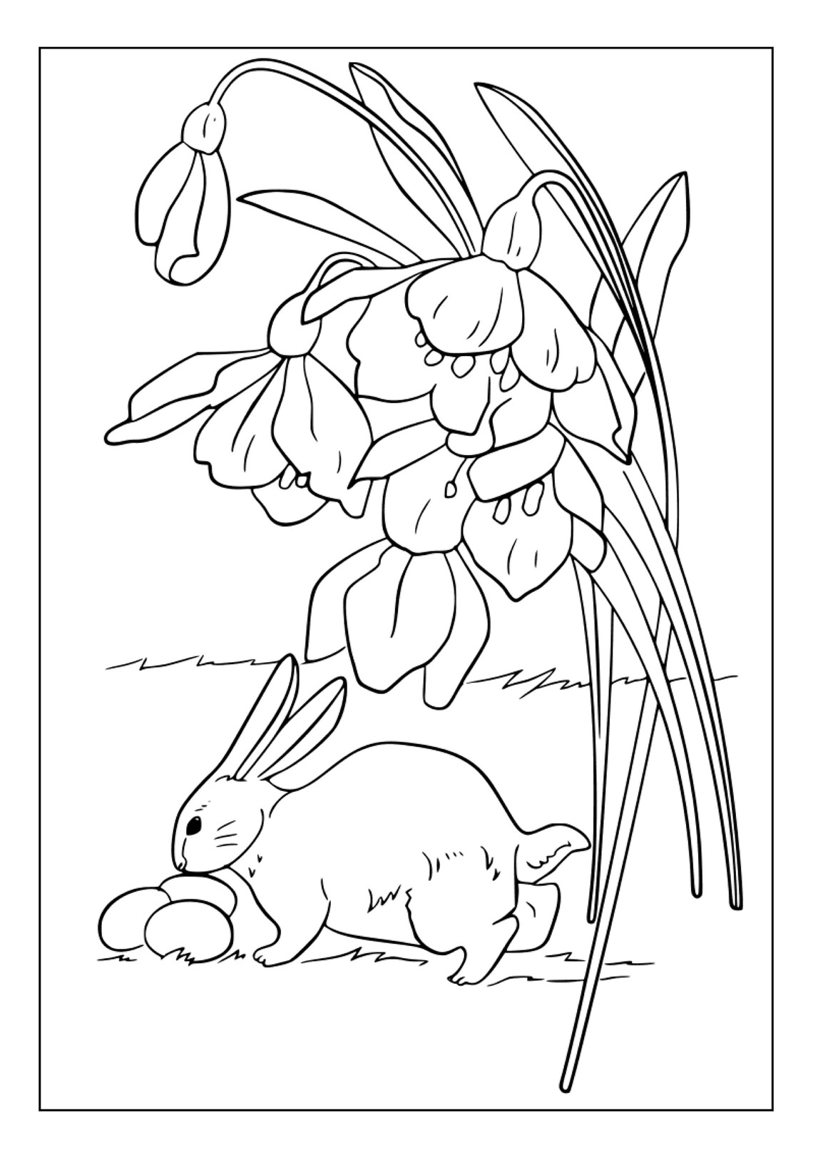 Printable Easter Bunny Coloring Pages for Kids & Adults | 100 Pages ...