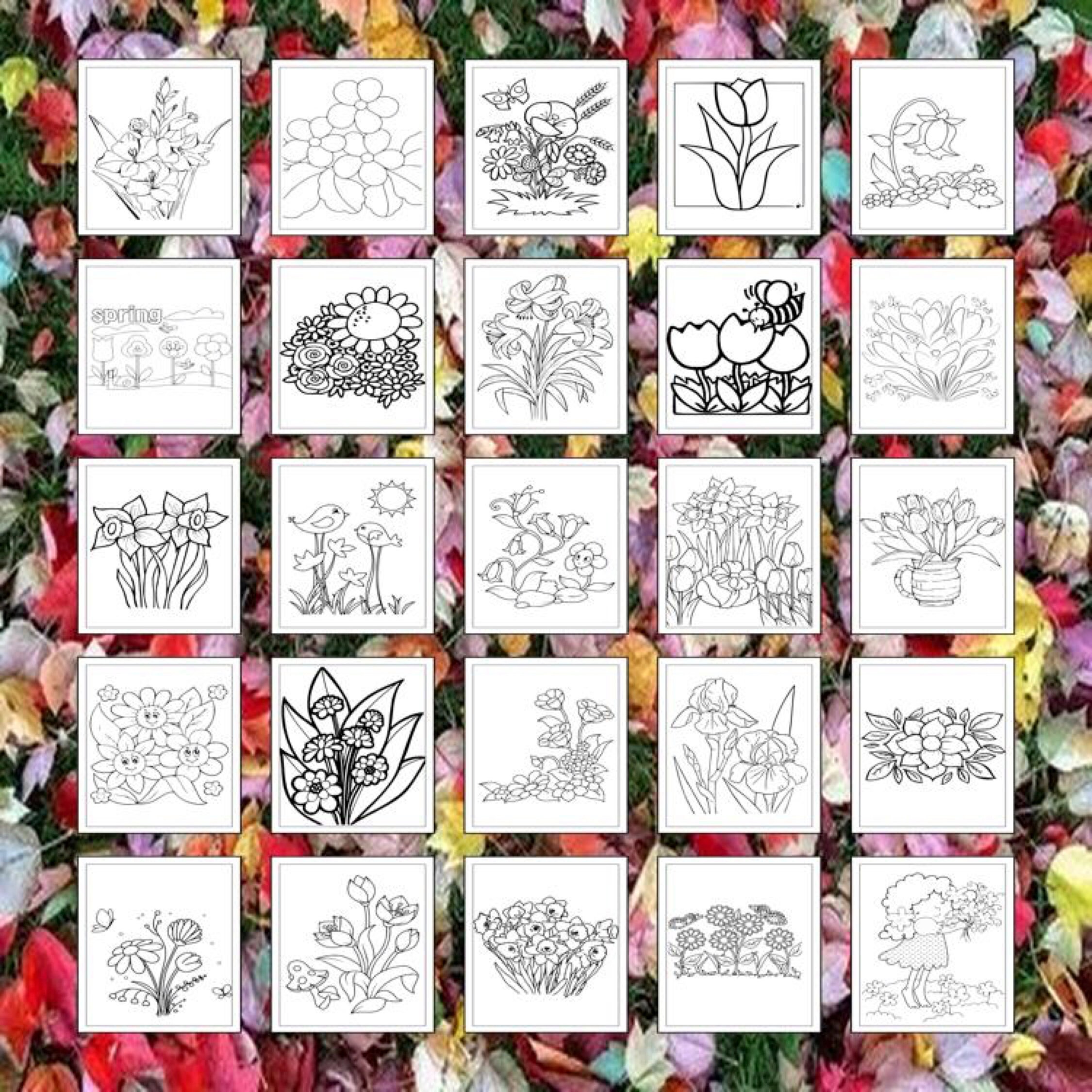 Printable Spring Flowers Coloring Pages for Kids & Adults | 80 Pages ...