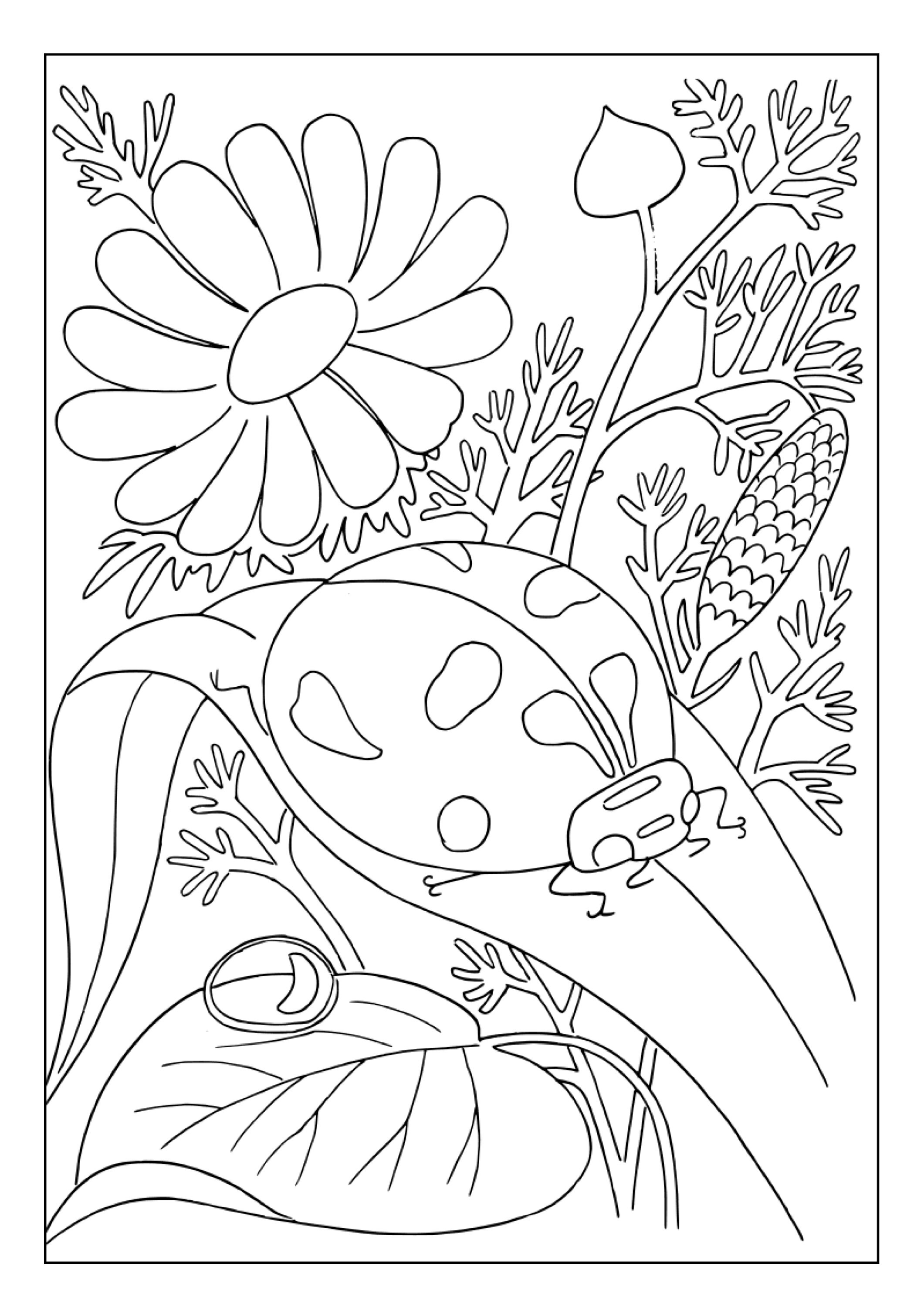 Printable Summer Coloring Pages for Kids and Adults | 100 Pages ...