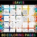 Printable Leaves Coloring Pages for Kids & Adults 80 Pages Digital ...