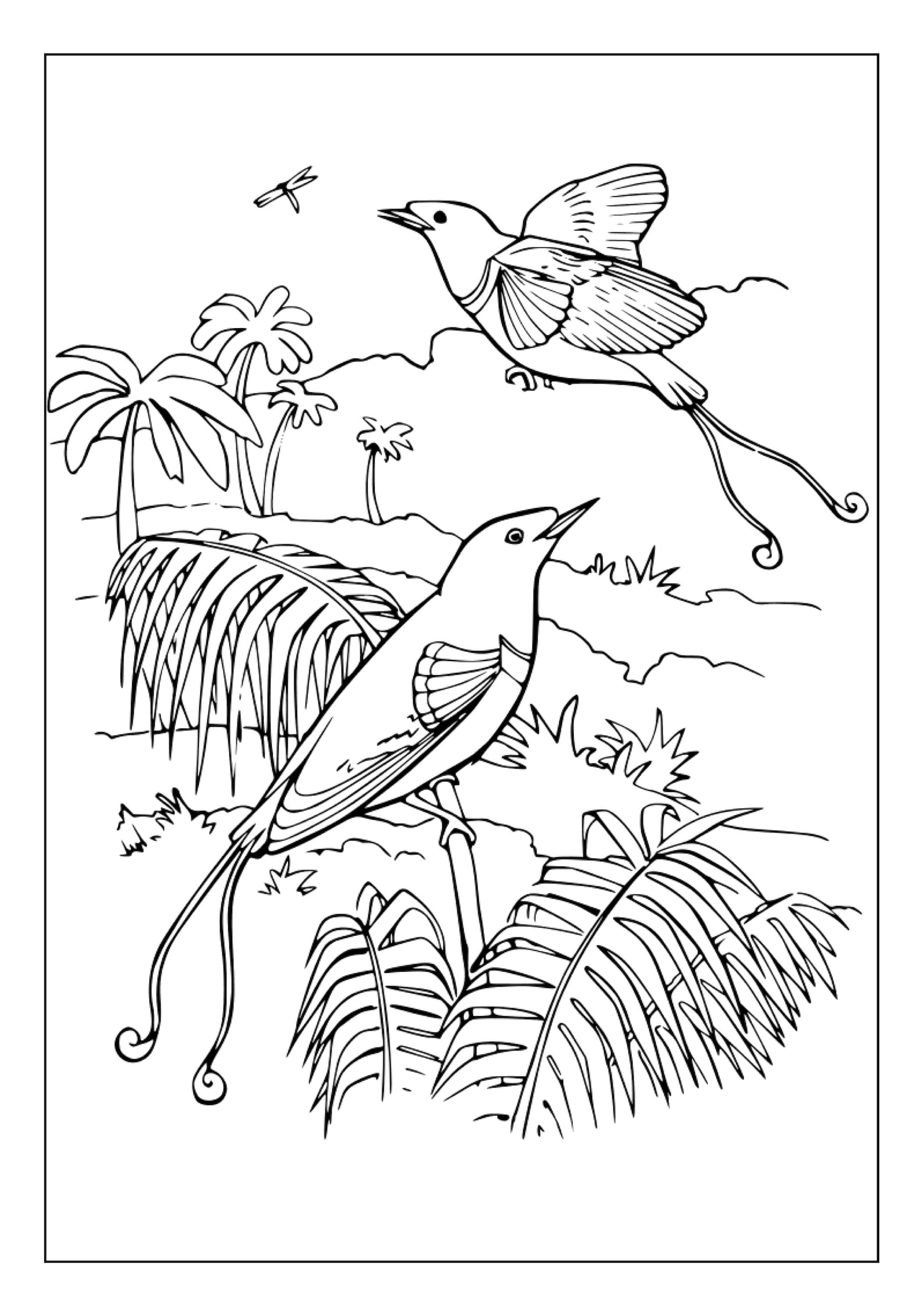 Printable Bird Coloring Pages for Kids and Adults | 70 Pages | Instant ...