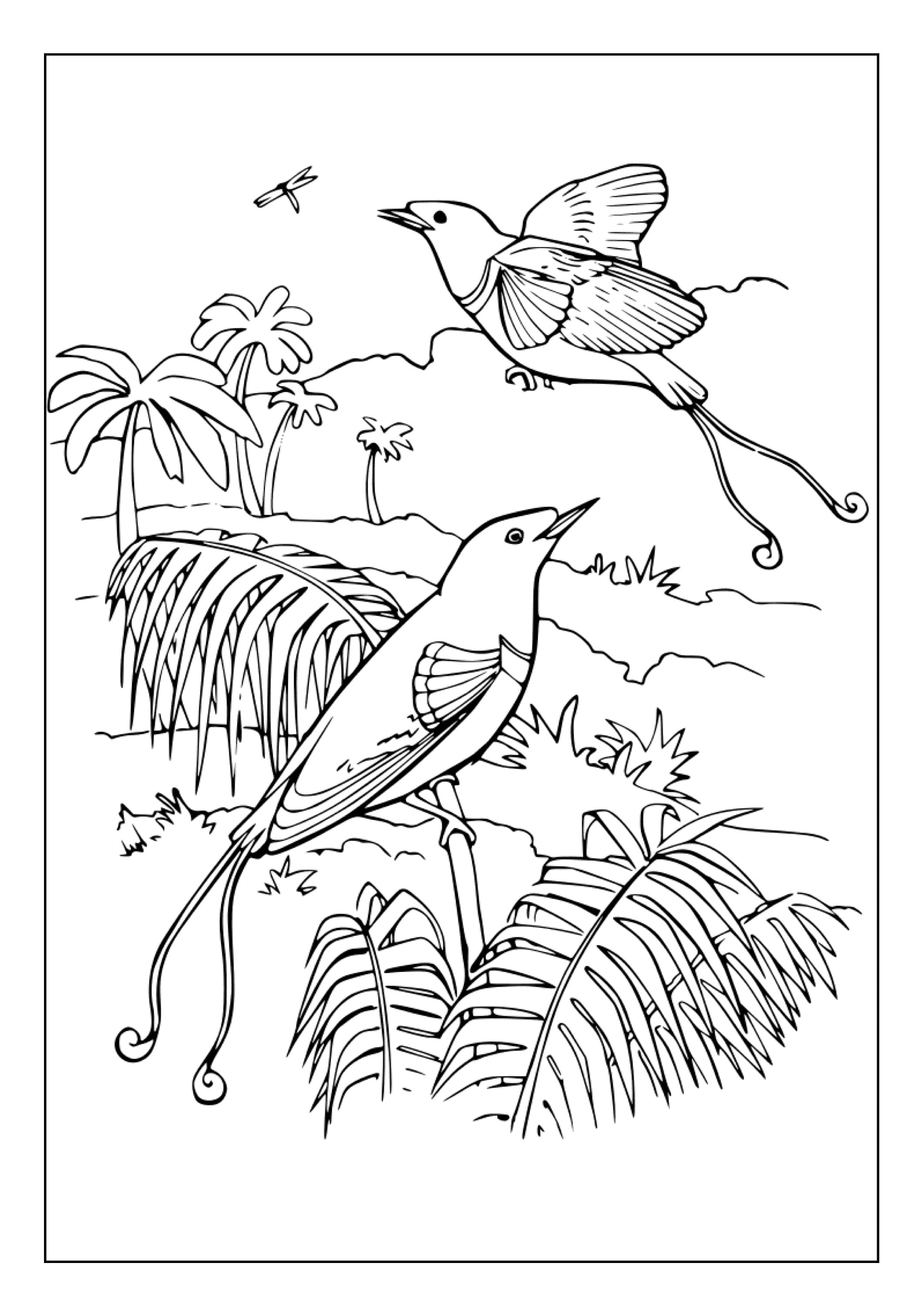 Printable Bird Coloring Pages for Kids and Adults | 70 Pages | Instant ...