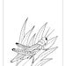 Printable Enchanting Grasshopper Coloring Pages for Kids & Adults 35 ...