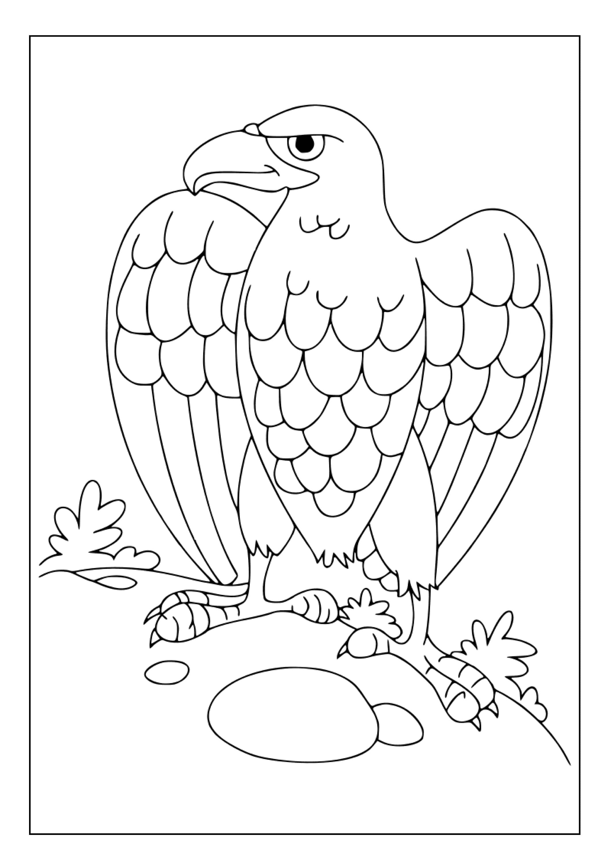 Printable Eagle Coloring Pages for Kids and Adults | 40 Pages | Instant ...