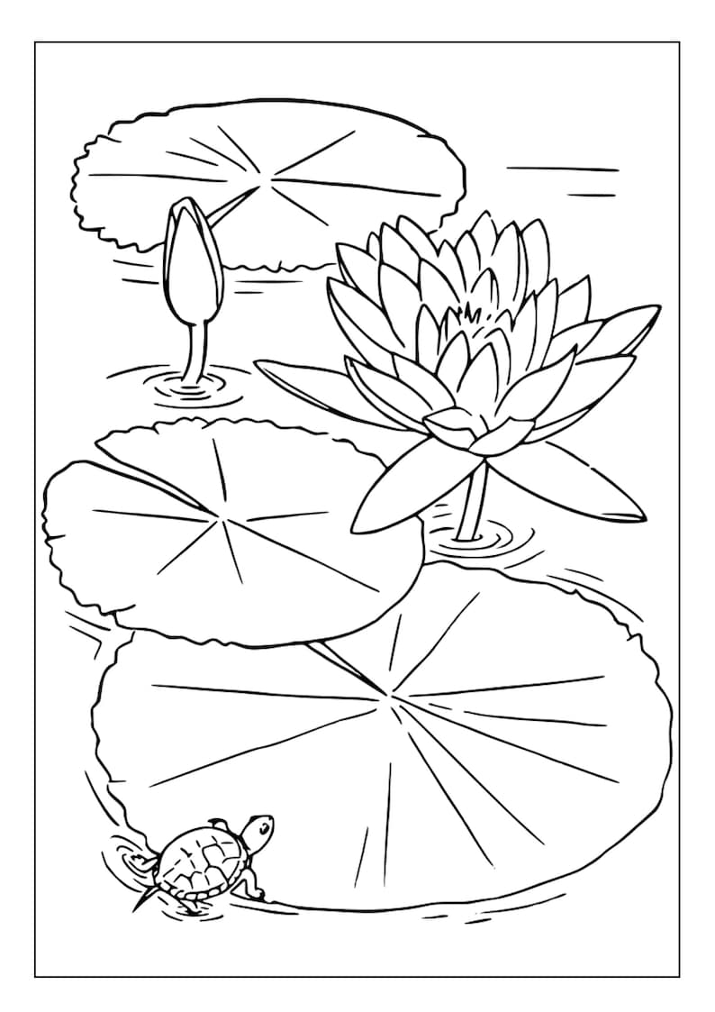 Printable Lotus Coloring Pages for Kids & Adults | 25 Pages | Digital ...