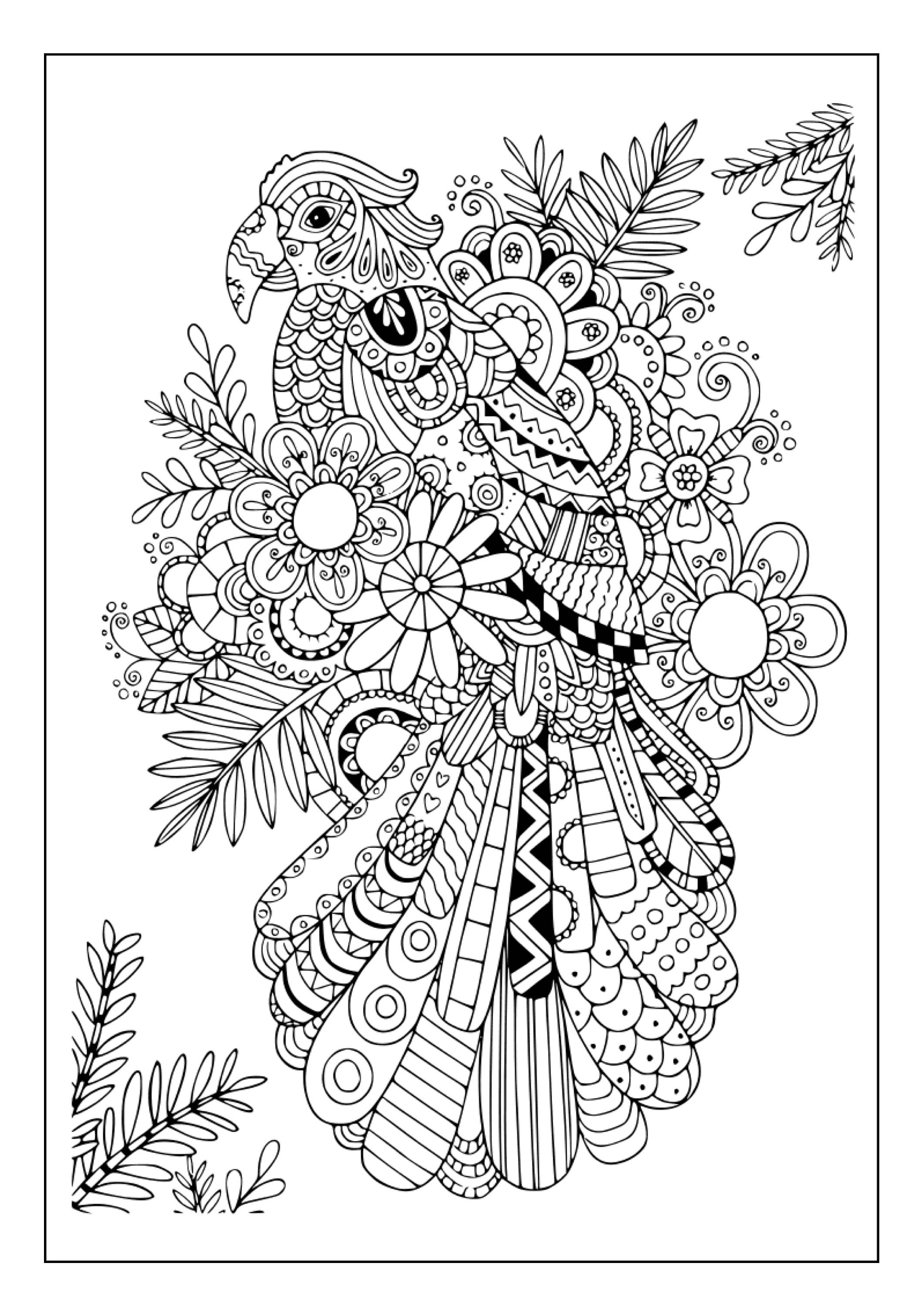 Printable Zentangle Birds Coloring Pages for Kids & Adults - Etsy