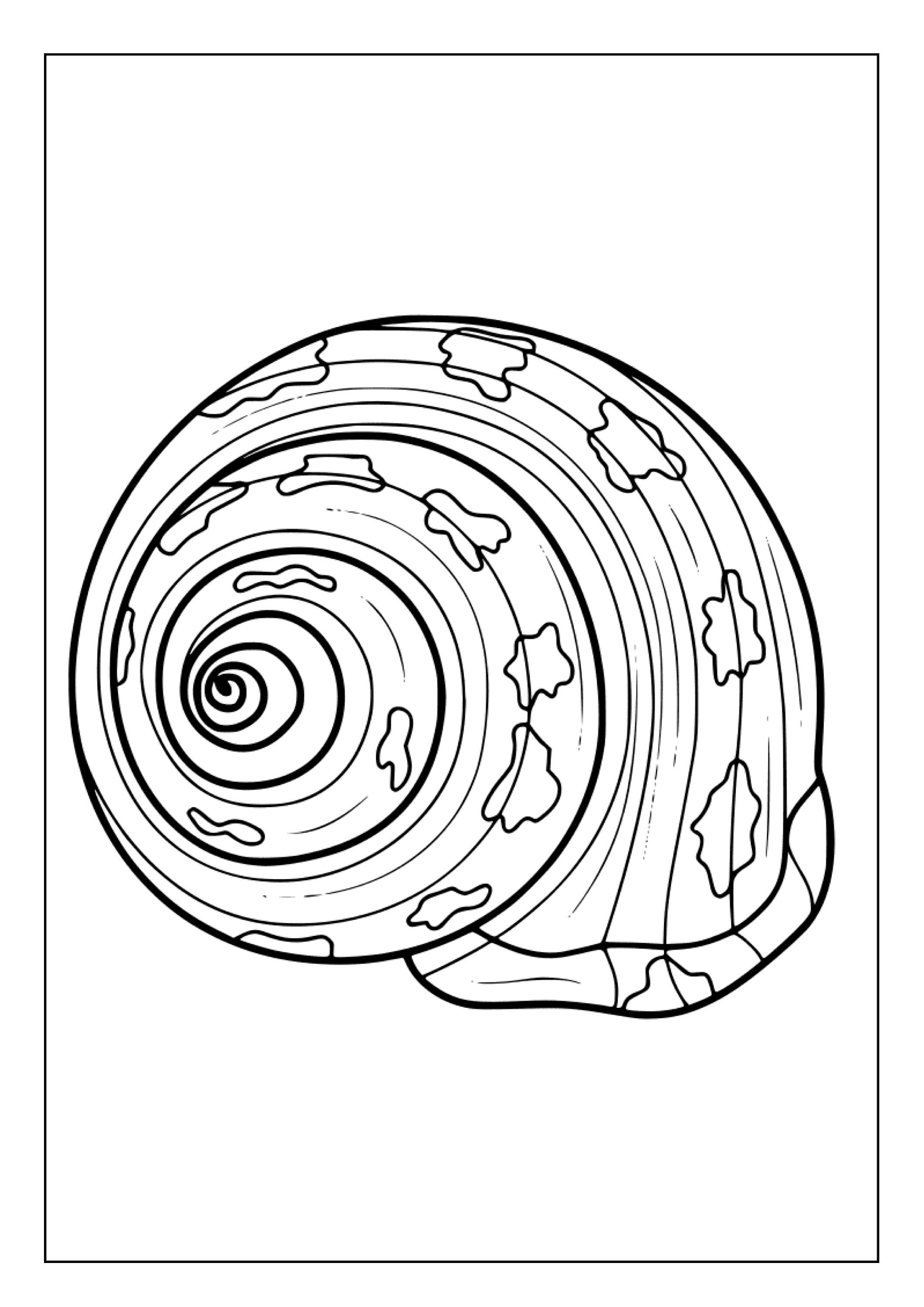 Printable Seashell Coloring Pages for Kids and Adults | 100 Pages ...