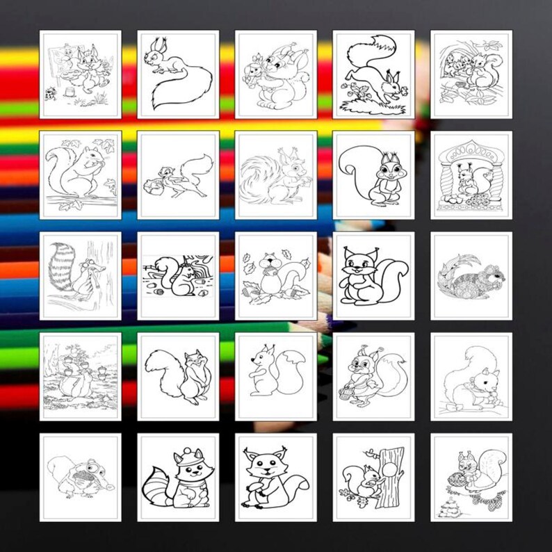Printable Squirrel Coloring Pages for Kids and Adults 80 Pages Instant ...