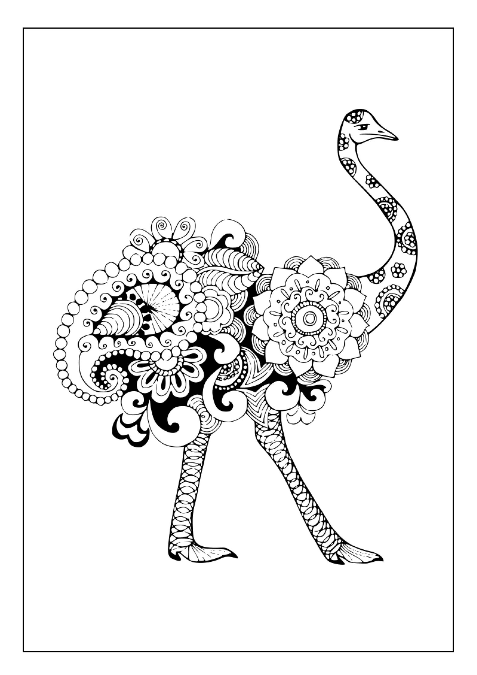 Printable Ostrich Coloring Pages for Kids & Adults | 35 Pages | Digital ...