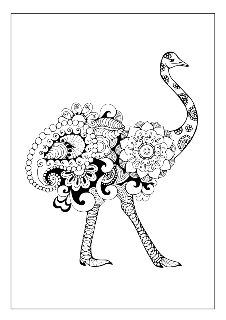 Printable Ostrich Coloring Pages for Kids & Adults | 35 Pages | Digital ...