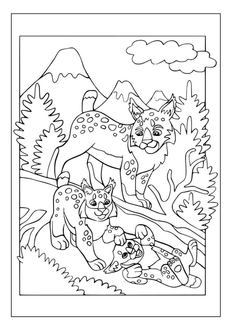 Printable Lynx Coloring Pages for Kids & Adults | 30 Pages | Instant ...