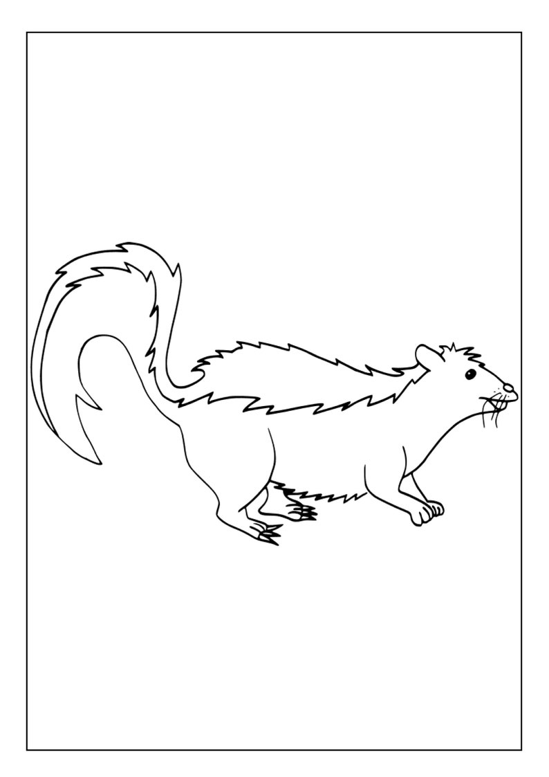 Printable Skunk Coloring Pages for Kids & Adults 30 Pages Instant ...